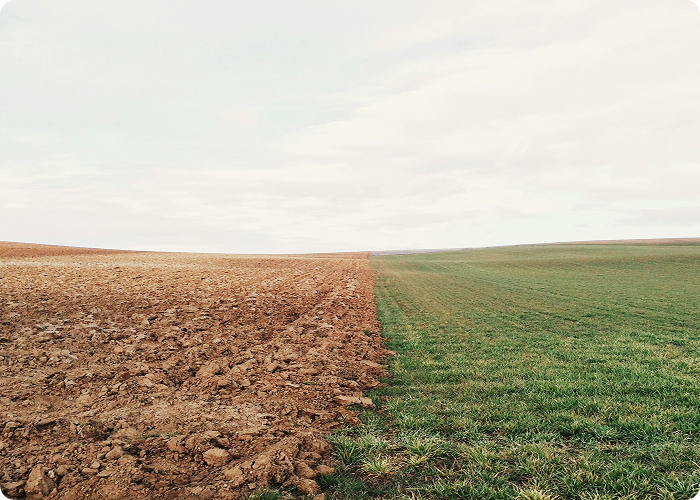 What are variable charges in soil? - 2026variablechargesoilconference
